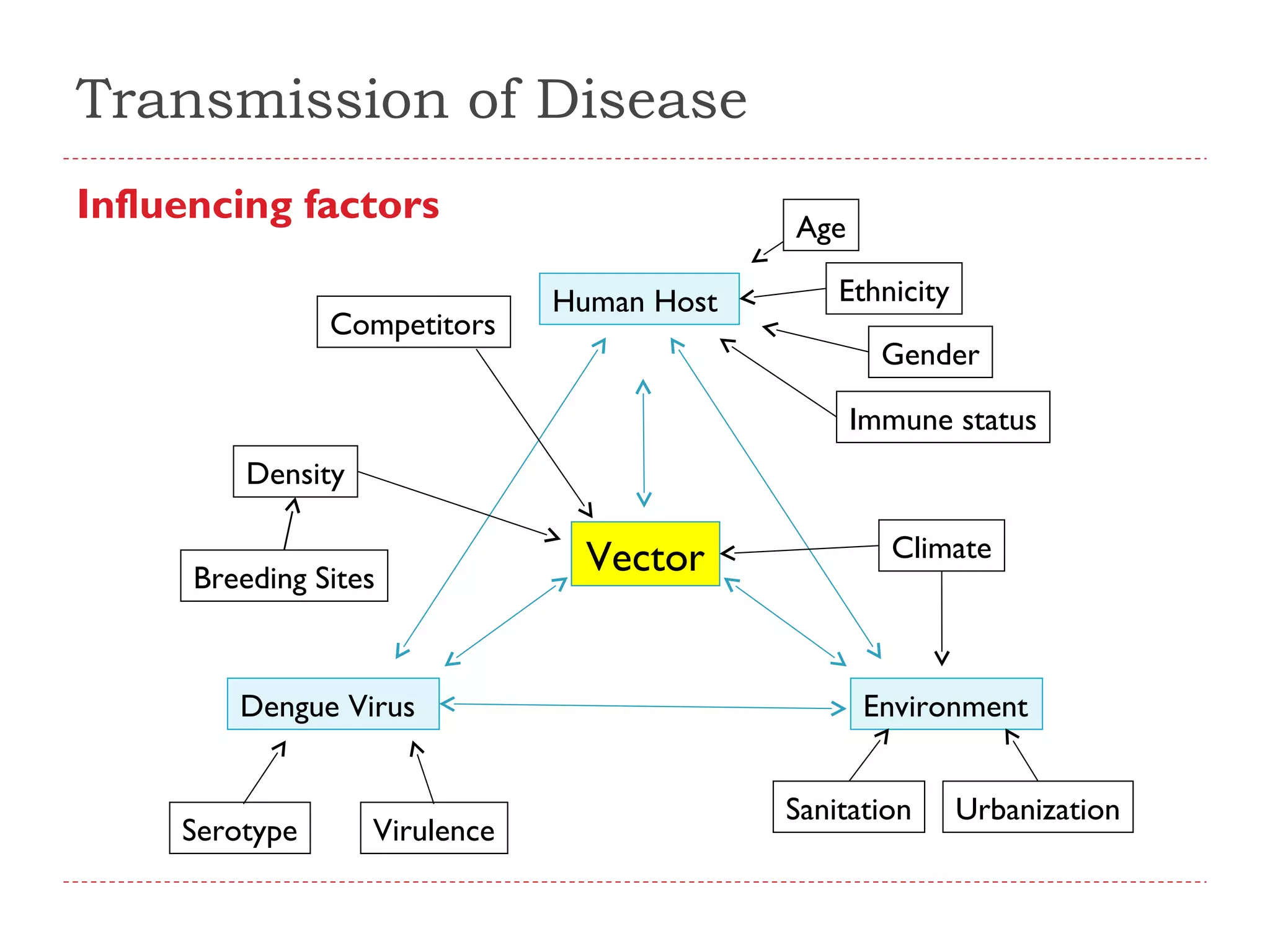 Vector borne disease and Dengue | PPT | Infectious Diseases | Diseases ...