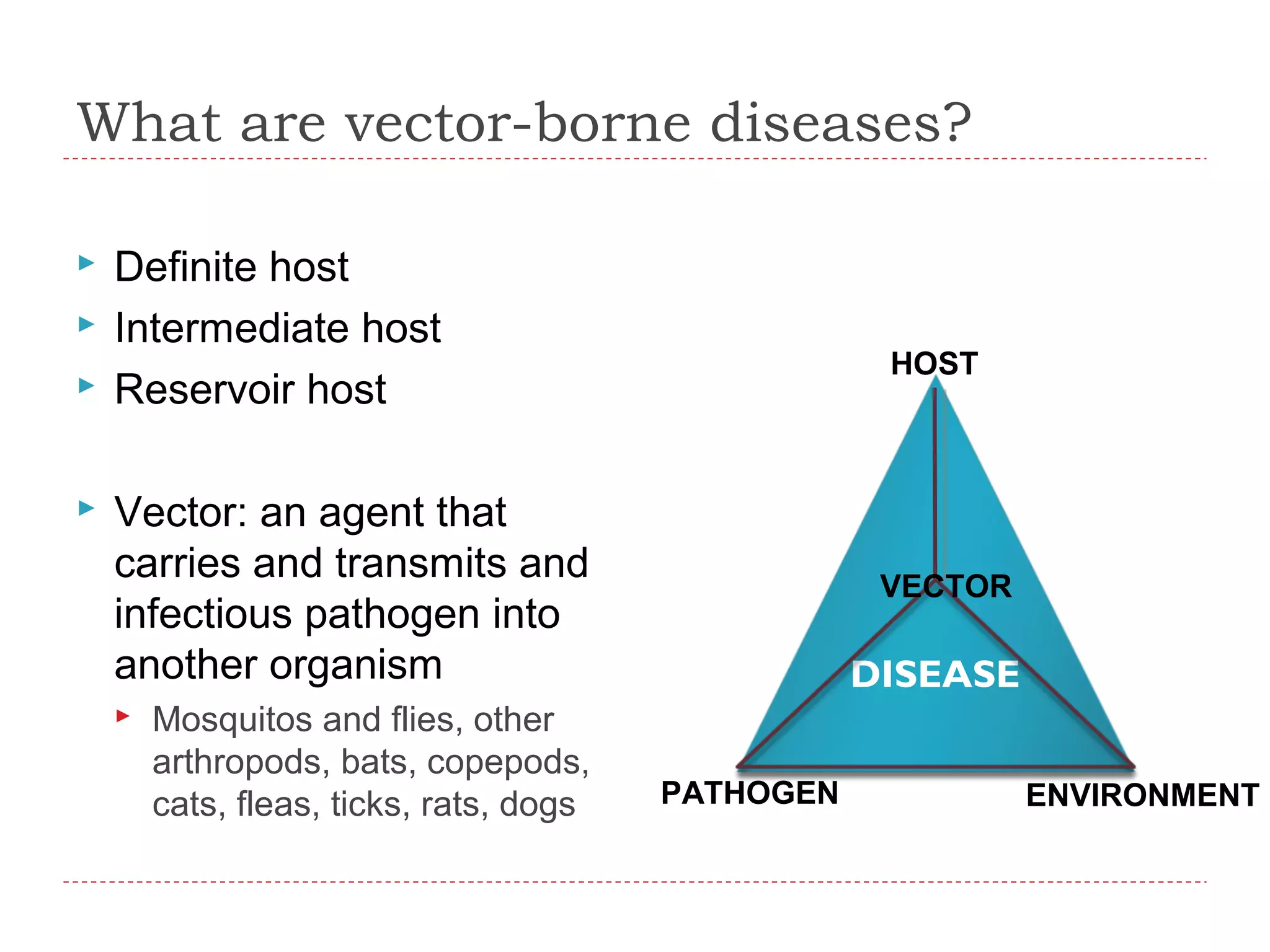 Vector borne disease and Dengue | PPT | Infectious Diseases | Diseases ...