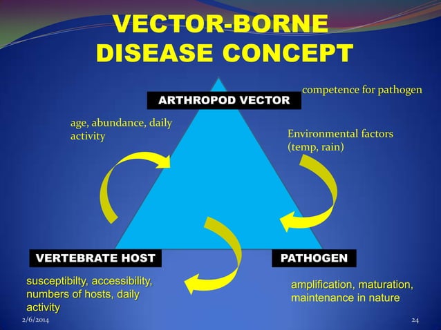 vector borne diseases-ASK | PPTX