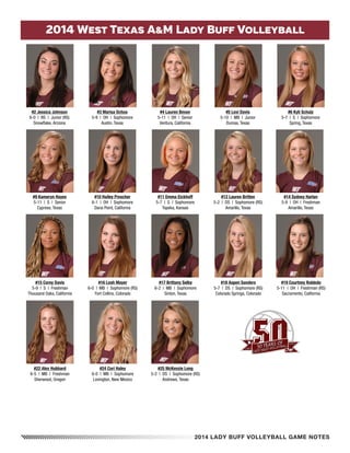 WT Volleyball Game Notes 11-17 | PDF