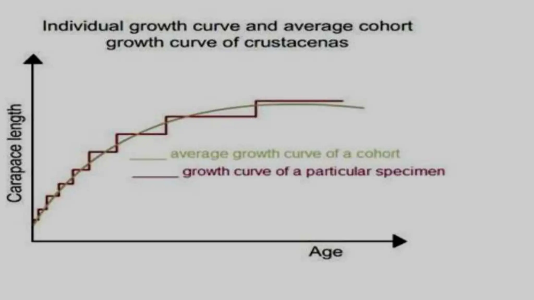 VBGF ppt By Mr.D.S.B.A^.pptx