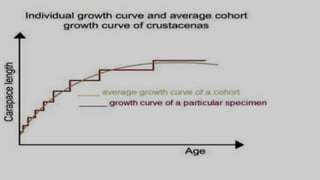 VBGF ppt By Mr.D.S.B.A^.pptx