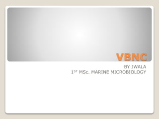 VIABLE BUT NON-CULTURABLE BACTERIA- VBNC | PPTX | Biological Sciences | Science