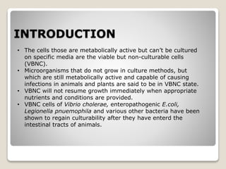 VIABLE BUT NON-CULTURABLE BACTERIA- VBNC | PPTX | Biological Sciences | Science