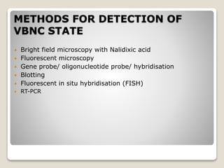 VIABLE BUT NON-CULTURABLE BACTERIA- VBNC | PPTX | Biological Sciences | Science