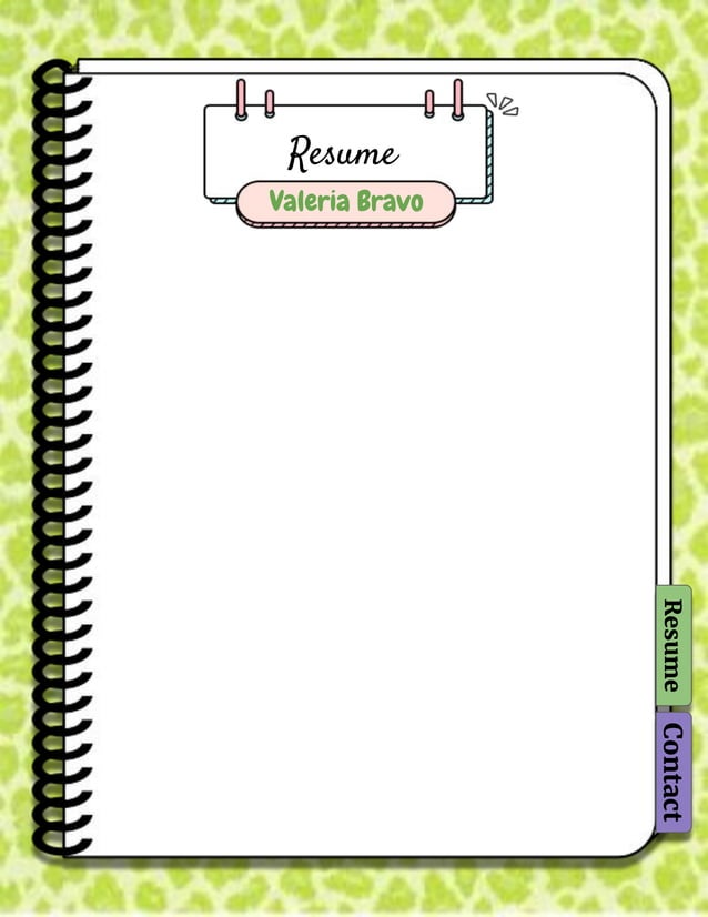 V bravo portfolio | PDF