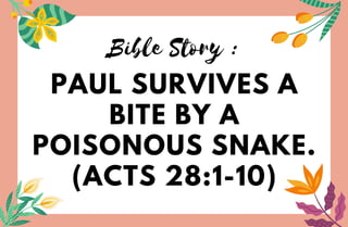 VBS 1-4.pdf