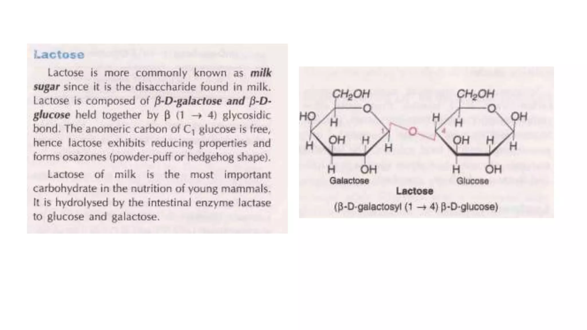 Vbspu prabhakar singh first sem_ biochem_ paper first _unit ii ...