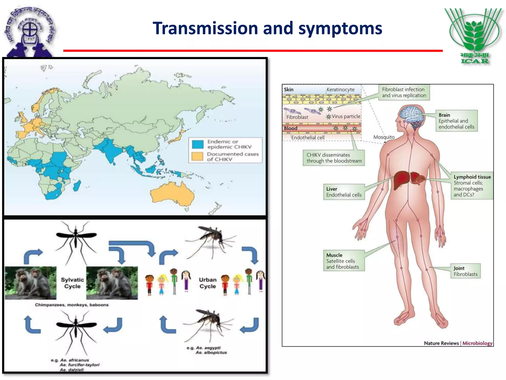 Vector Borne Zoonoses | PPTX
