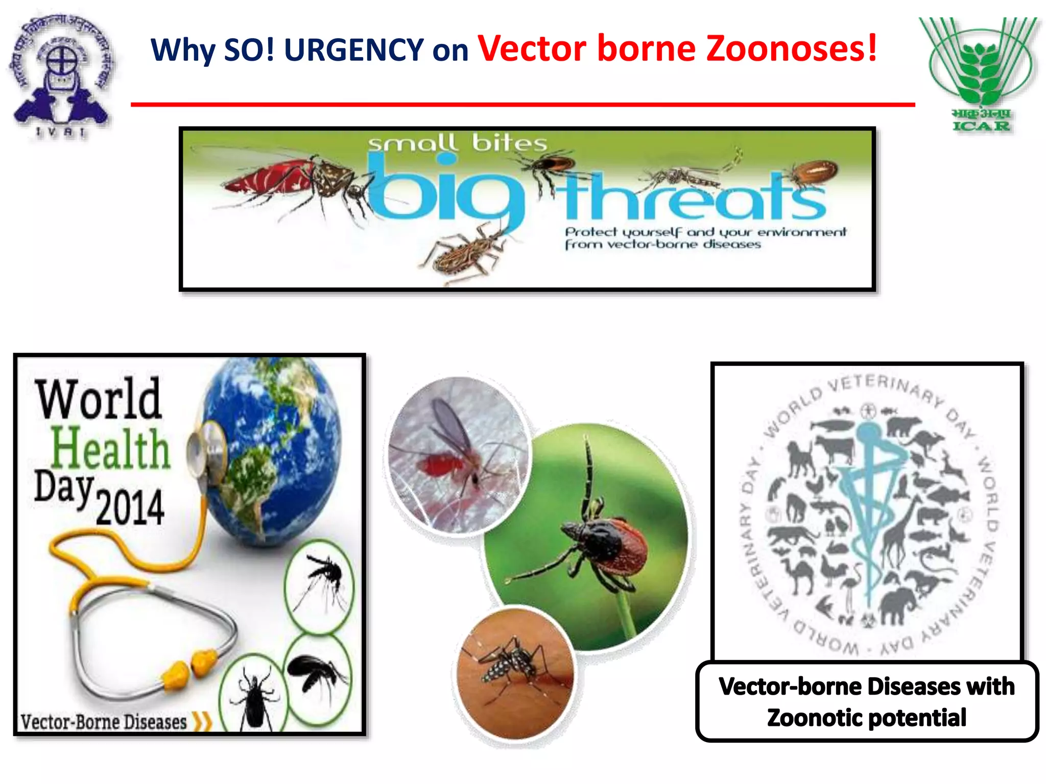 Vector Borne Zoonoses | PPTX