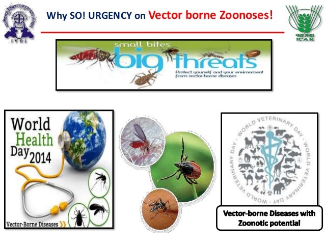 Fascinating Vector Borne And Zoonotic Diseases Photos