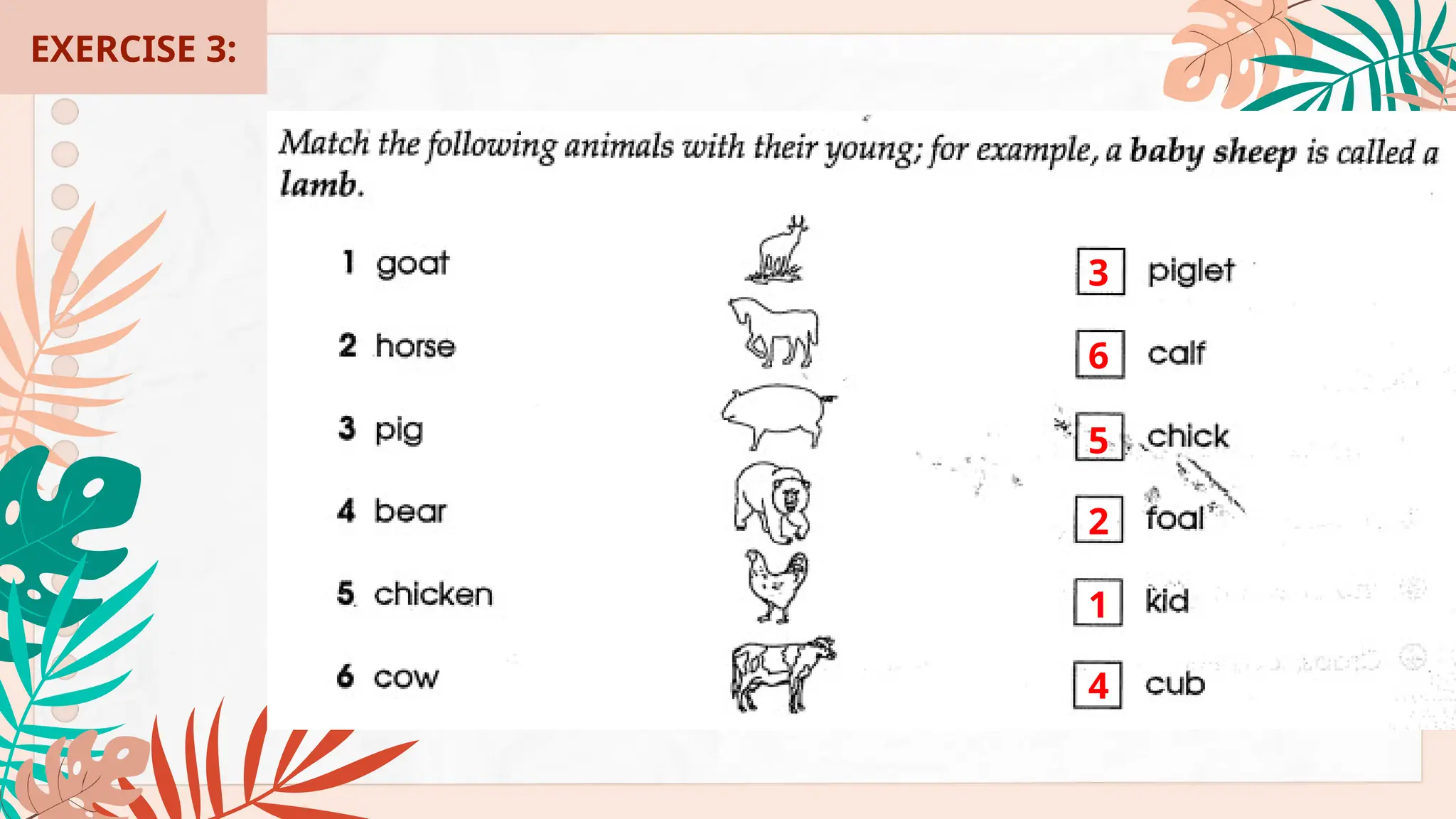 vocabulary for B2 level- words and pratice | PPT