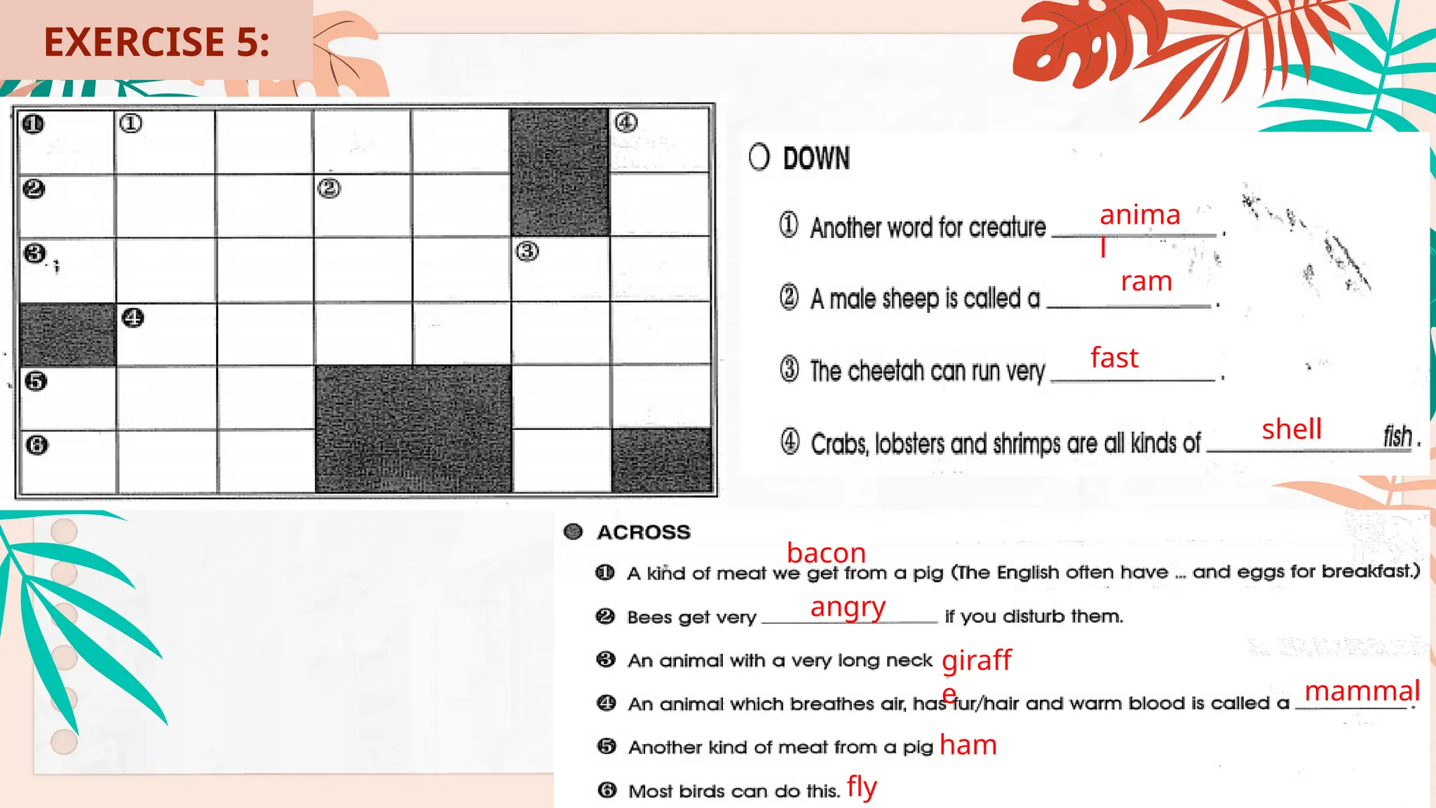vocabulary for B2 level- words and pratice | PPT