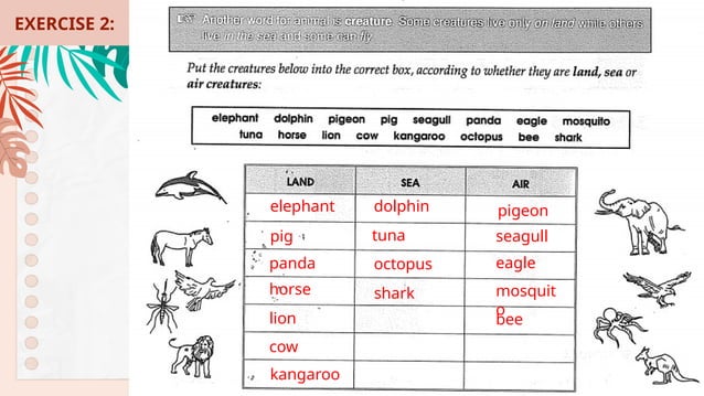 vocabulary for B2 level- words and pratice | PPT