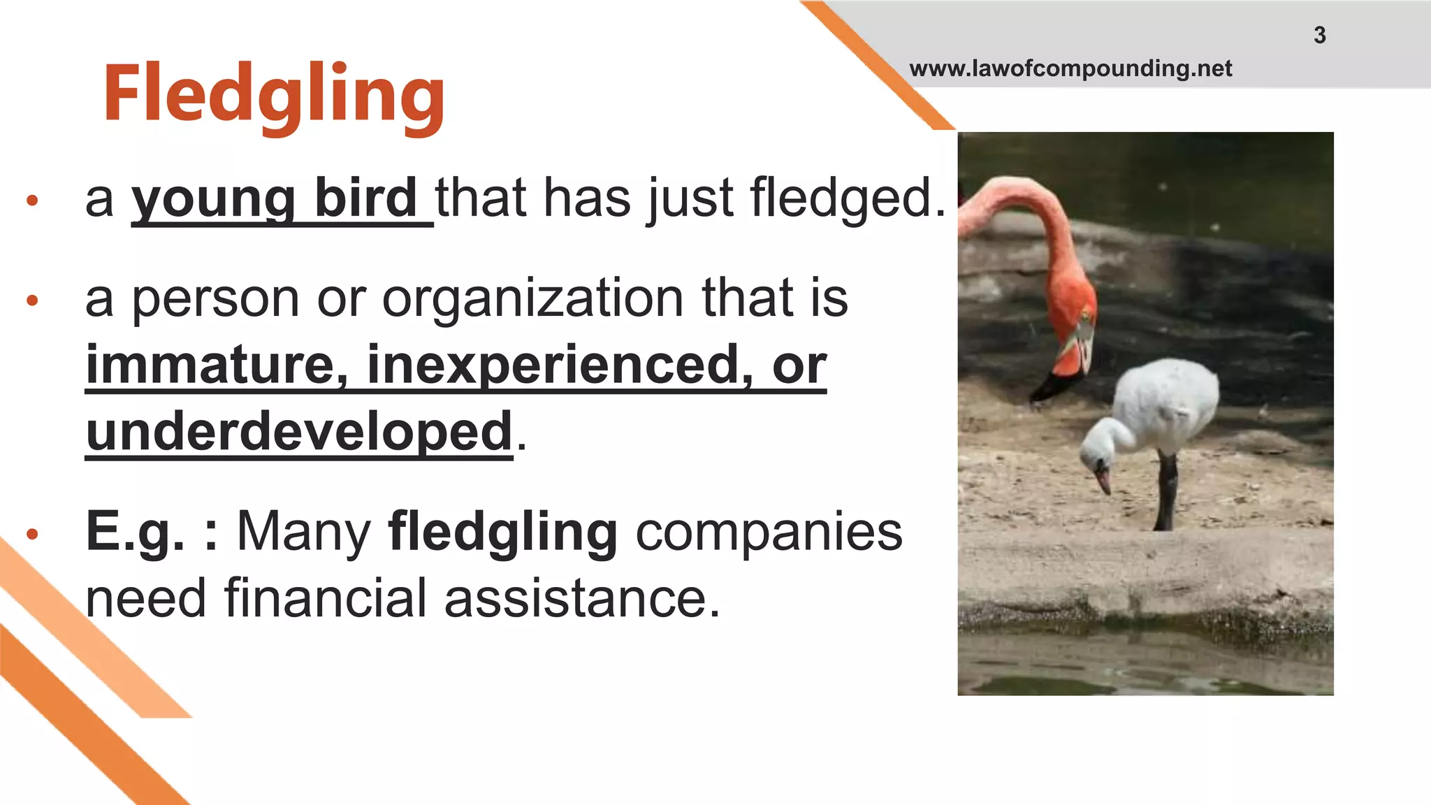 Learn English : Vocabulary Day 1 | PPTX