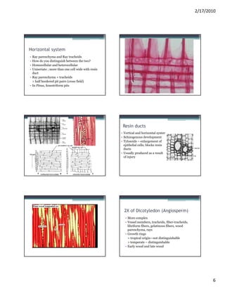 Vc 2 X 2 P Secondary Body Of The Plant | PDF