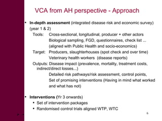 Value chain assessment from an animal health perspective | PPT