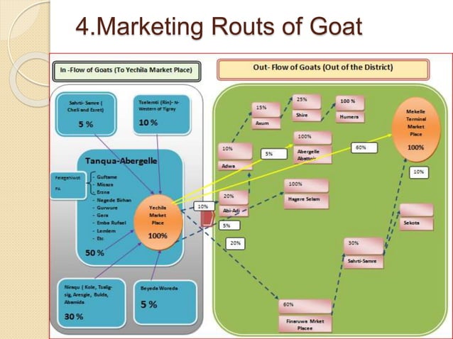 Tanqua-Abergelle Goat Value Chain Analysis: The case of Abergelle ...