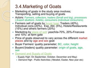 Tanqua-Abergelle Goat Value Chain Analysis: The case of Abergelle ...