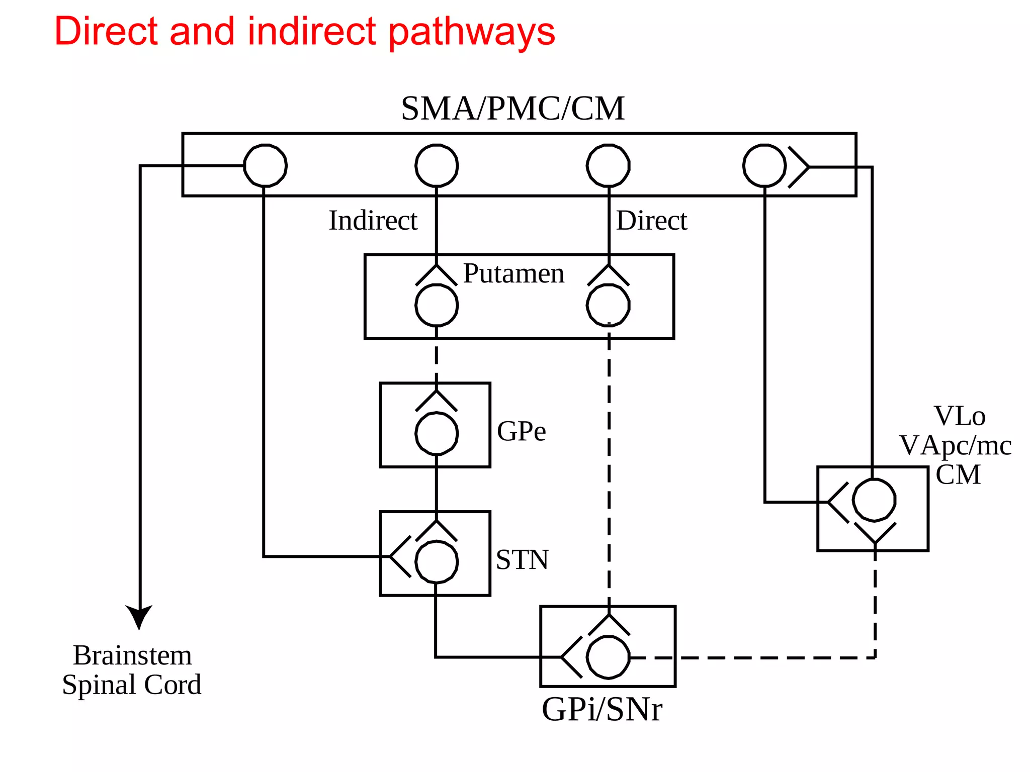 Anatomy and Physiology of Motor disorder | PPT