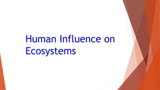 VCE Biology Human Influence on the Ecosystem | PPTX