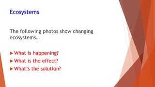 VCE Biology Human Influence on the Ecosystem | PPT