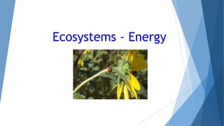 VCE Biology Ecosystems & Energy | PPTX