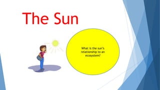 VCE Biology Ecosystems & Energy | PPTX