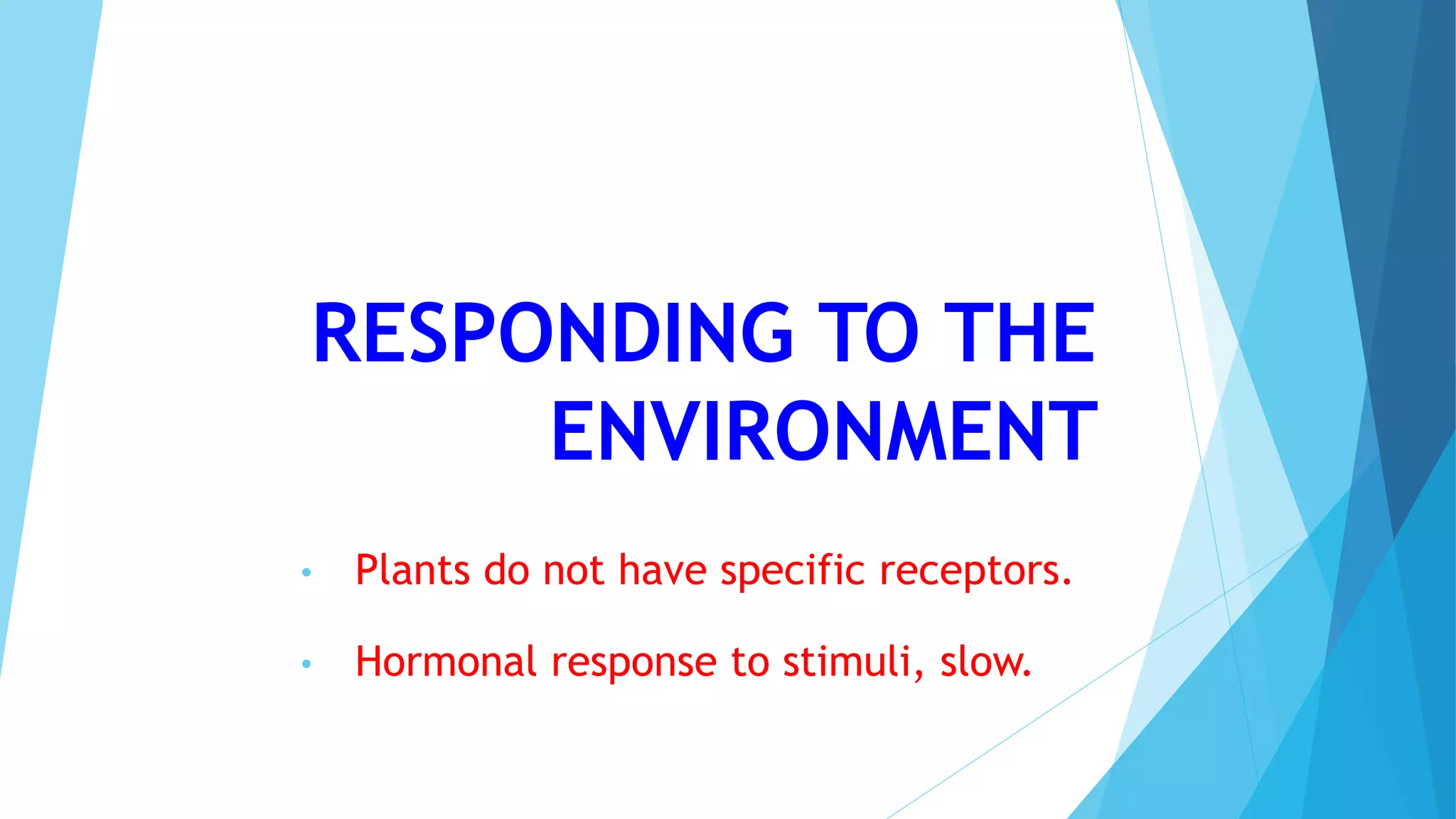 VCE Biology Plants Responding to the Environment | PPTX