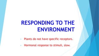 VCE Biology Plants Responding to the Environment | PPTX | Gardening ...