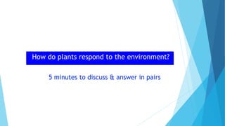 VCE Biology Plants Responding to the Environment | PPTX