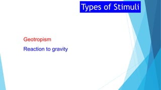 VCE Biology Plants Responding to the Environment | PPTX | Gardening ...