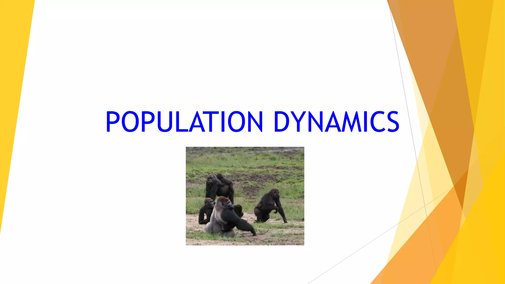 VCE Biology Population Dynamics | PPTX | Environment | Science