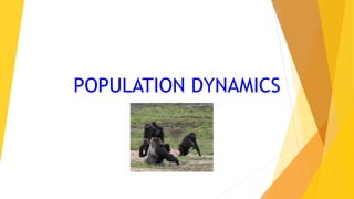 VCE Biology Population Dynamics | PPTX | Environment | Science