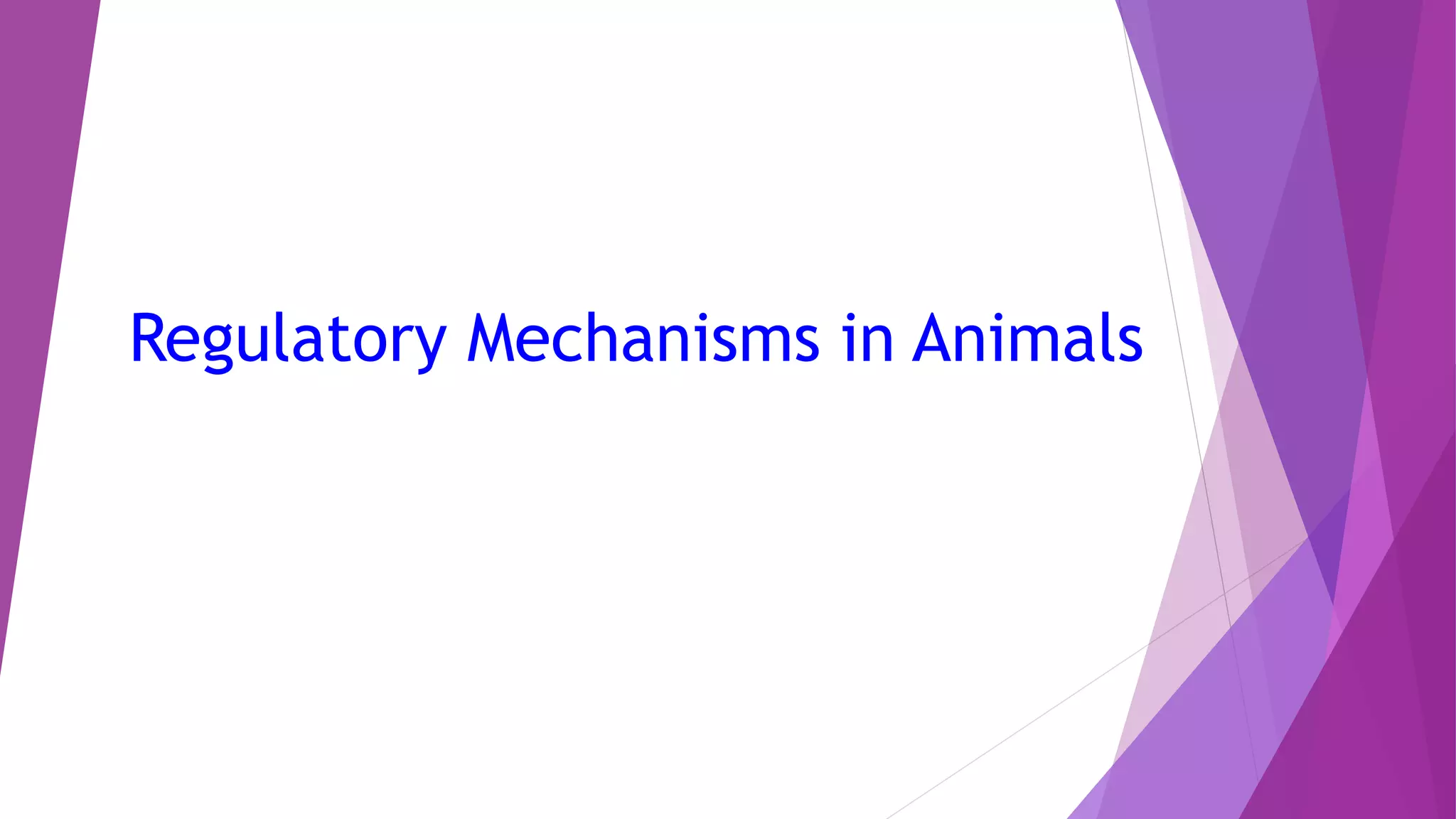 VCE Biology Regulatory Mechanisms in Animals | PPTX