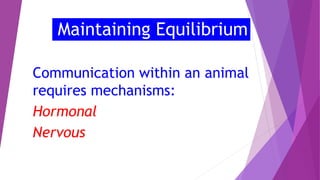 VCE Biology Regulatory Mechanisms in Animals | PPTX