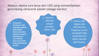 Memahami ultrasonik (ade welni, naning) | PPTX