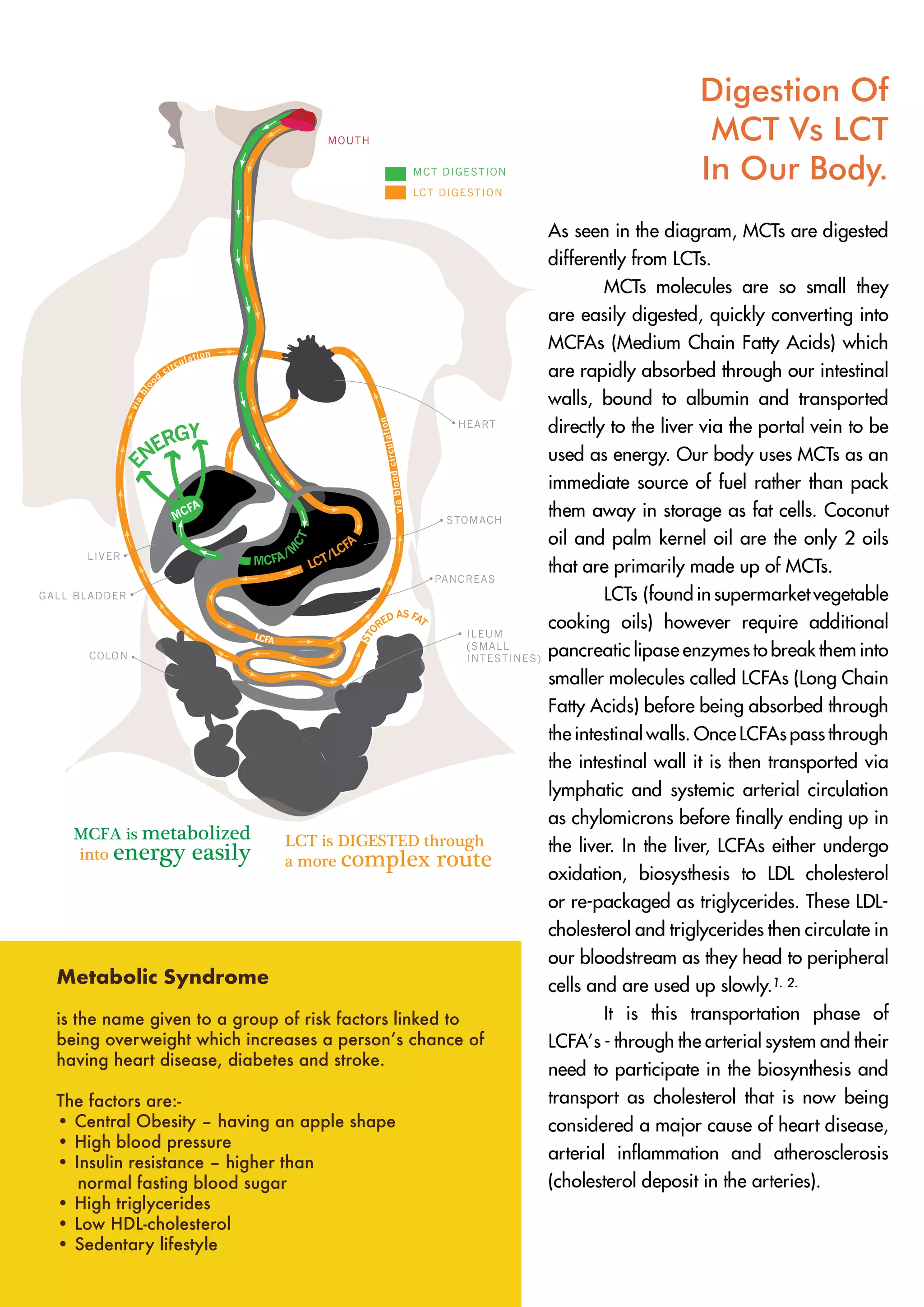 Benefits Of Virgin Coconut Oil | PDF