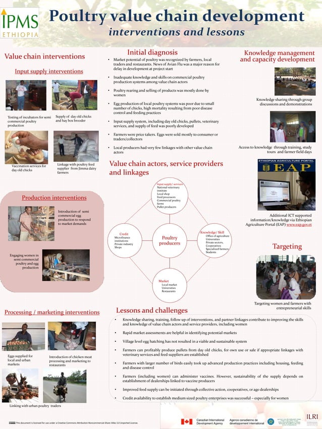 Poultry value chain development: Interventions and lessons | PDF
