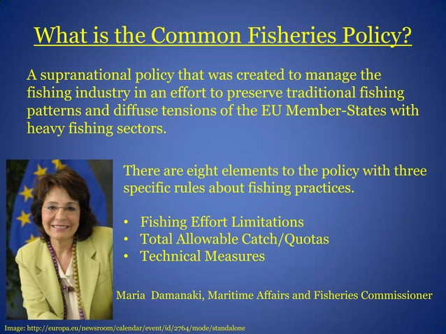 Common Fisheries Policy-Short Version | PPT