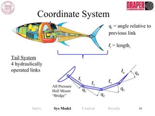 Fish Propulsion | PPT