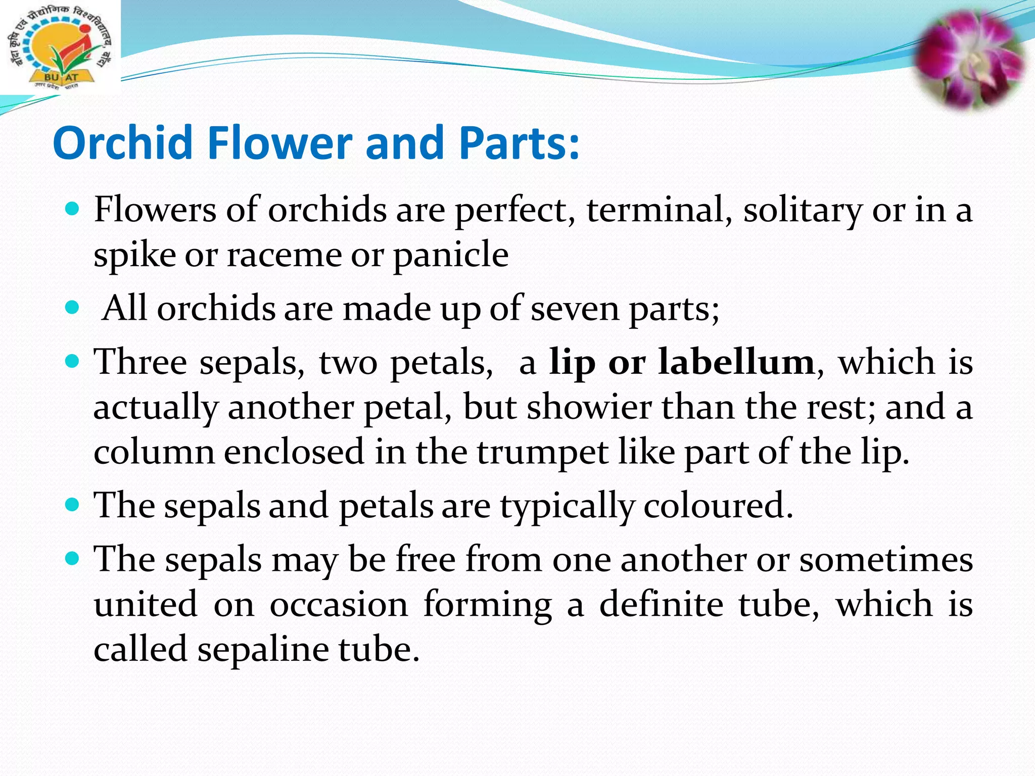 ppt_on_Orchids.pptx