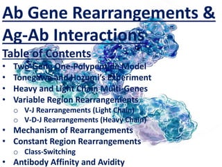 V(D)J rearrangements and Antigen Antibody interactions | PPTX
