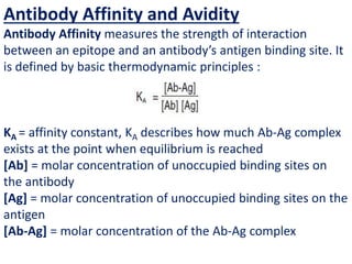 V(D)J rearrangements and Antigen Antibody interactions | PPTX