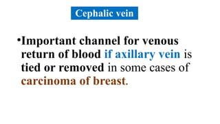 Venous Drainage and Lymphatic Drainage UPPER LIMB.pptx