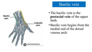 Venous Drainage and Lymphatic Drainage UPPER LIMB.pptx