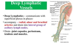 Venous Drainage and Lymphatic Drainage UPPER LIMB.pptx
