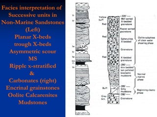vdocument.in_sedimentary-geology-geos-240-chapter-6-facies-analysis.ppt