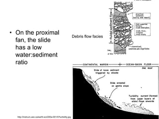 vdocument.in_submarine-canyons-and-fans-submarine-canyons-major ...