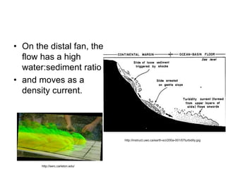 vdocument.in_submarine-canyons-and-fans-submarine-canyons-major ...